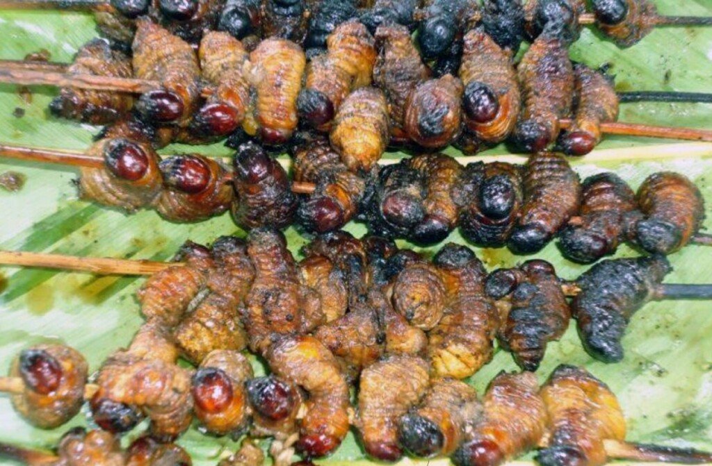 Serangga Bisa Jadi Menu Program MBG, Ini Dia Daftar Makanan Berbahan ...